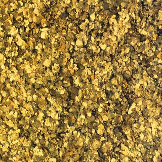 Natürliches Flussgold aus der Isar