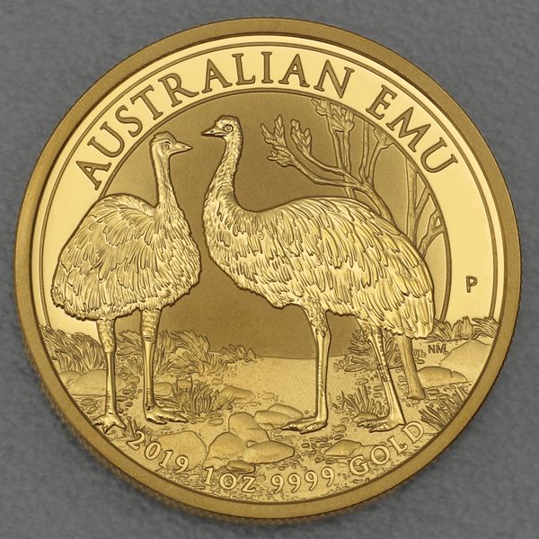 Australian Emu 2019